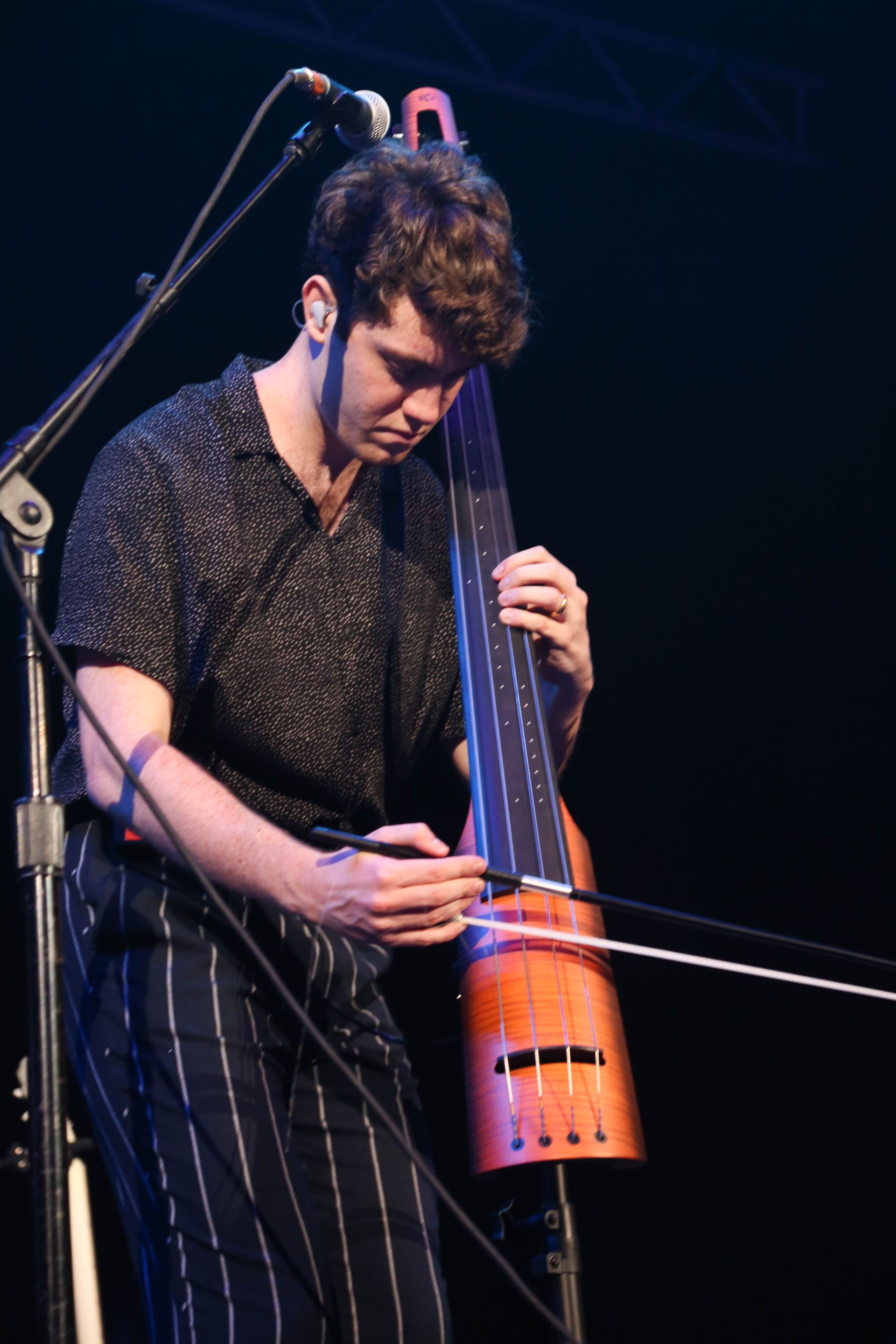 Noah Sierota | NS Design Artist | Electric Upright Bass NXTa