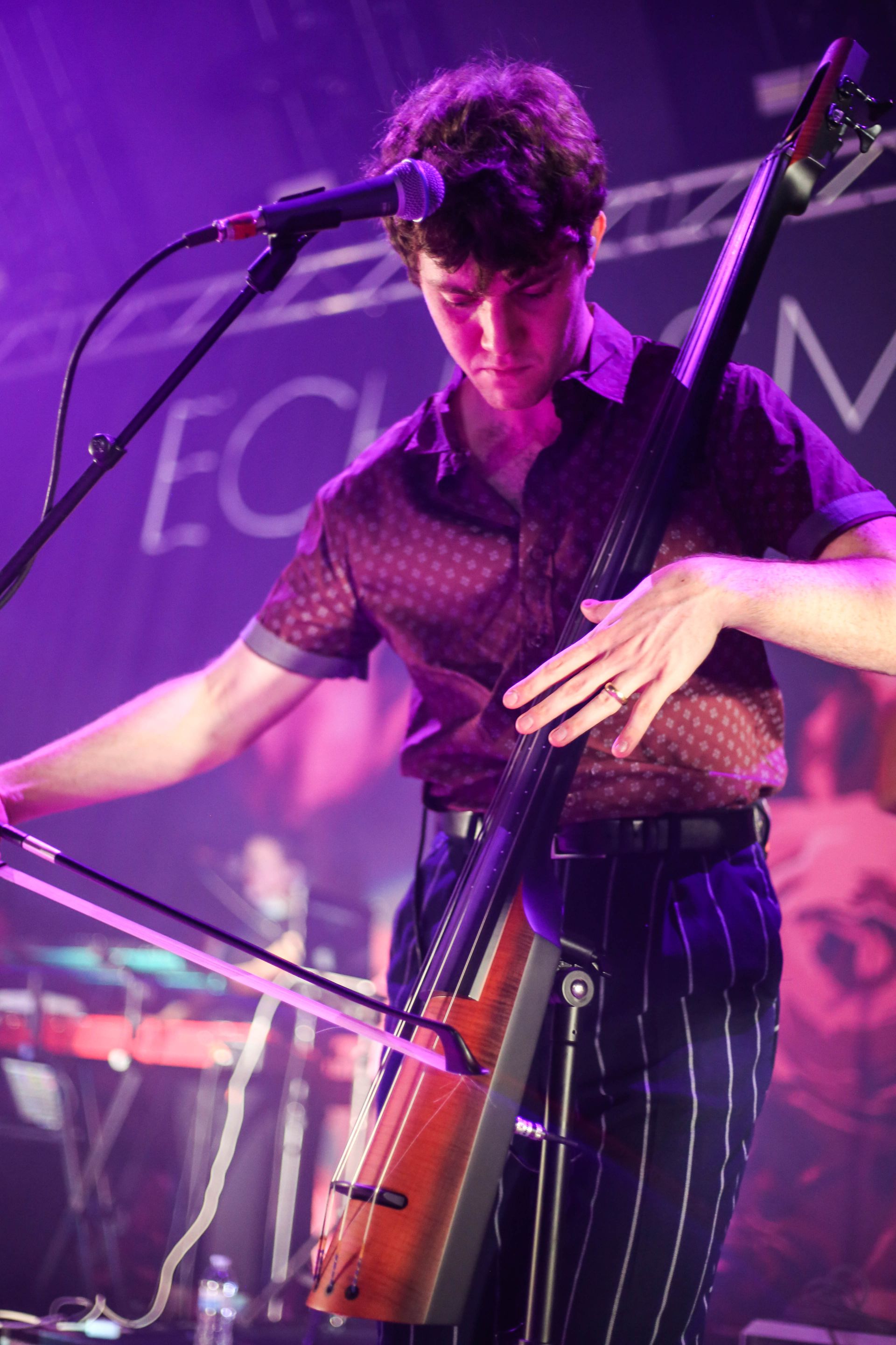 Noah Sierota | NS Design Artist | Electric Upright Bass NXTa