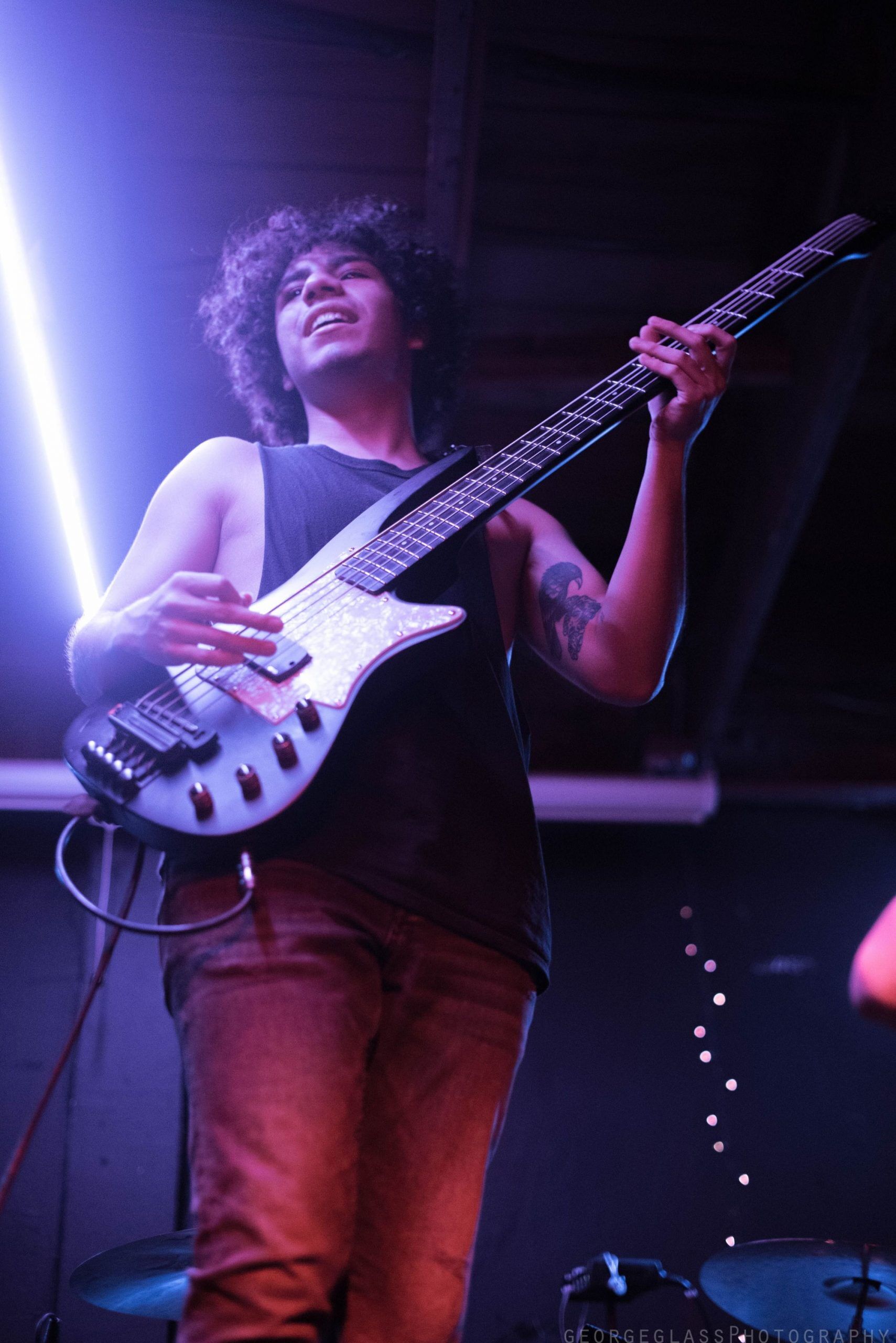 Nick Cañas | NS Design Artist | RADIUS Bass Guitar WAV